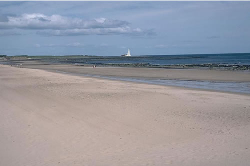 Eurydice pulchra in littoral mobile sand - JNCC Marine Habitat ...